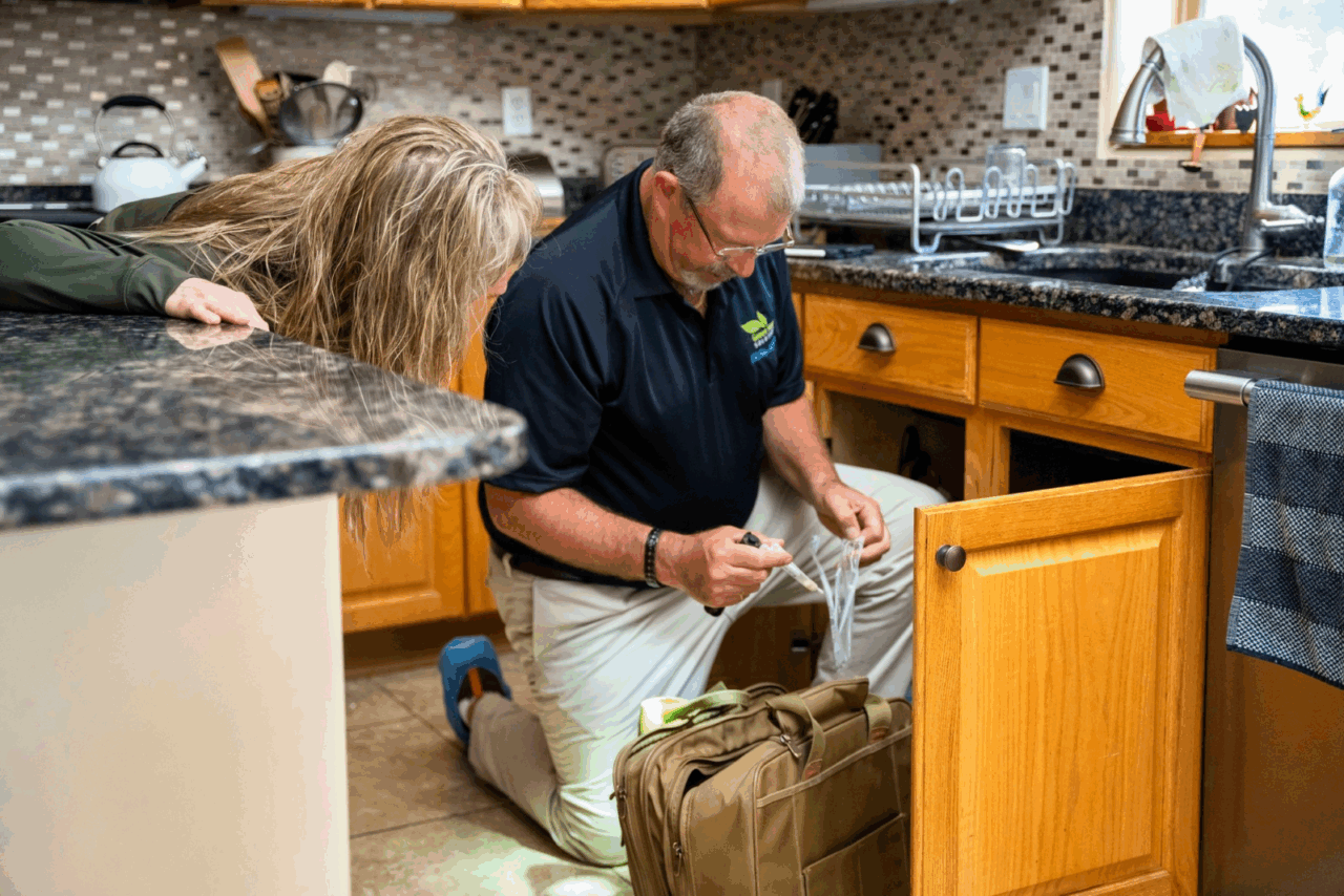 Mold Testing in Manchester, NH | Green Home Solutions
