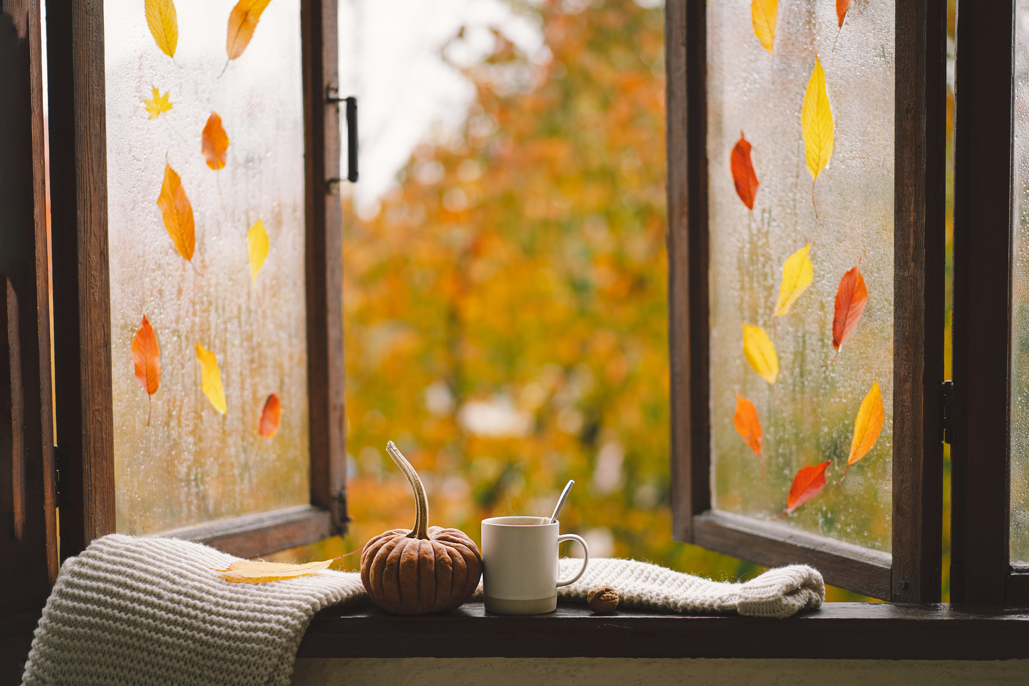 Why You Should Air Out Your Home More Often in the Fall | Green Home ...